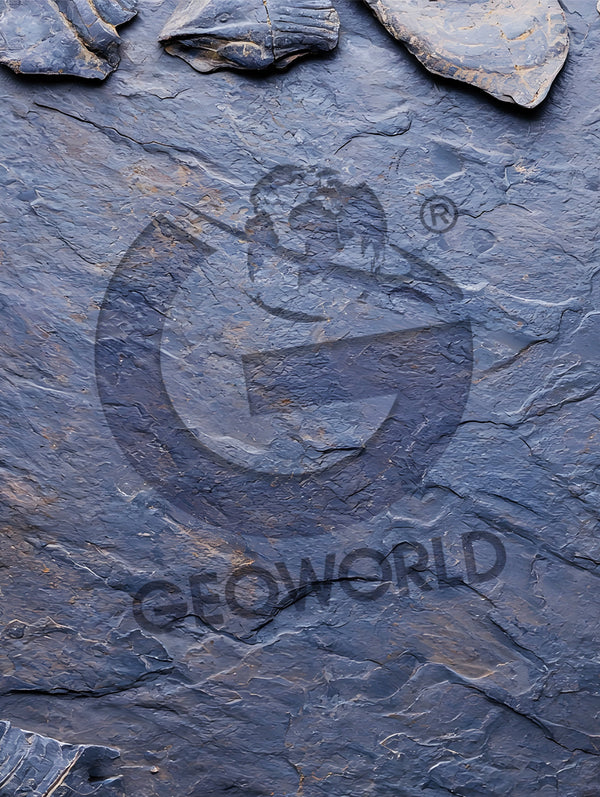 Educational Toys & Animal Figurines for Imaginative Play | Safari Ltd®