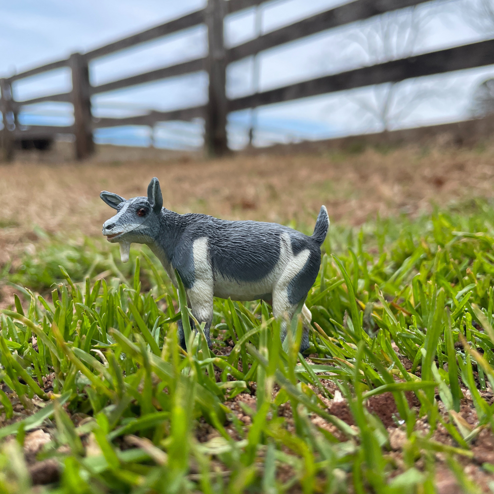 Pygmy Nanny Goat Toy | Safari Ltd®