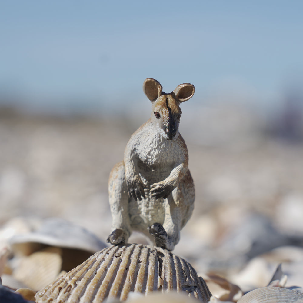 Wallaby Toy | Safari Ltd®