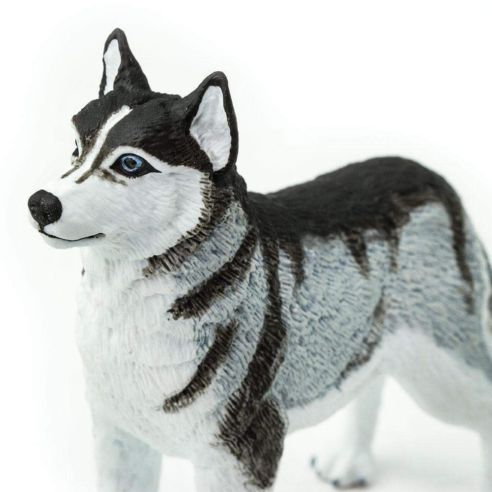 Siberian Husky Figurine | Safari Ltd®