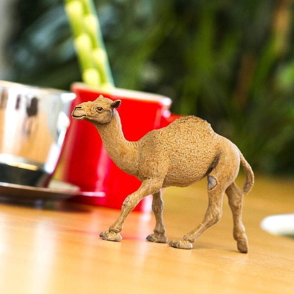 Dromedary Camel Toy Figure – Arabian Camel | Wild Safari® Wildlife ...