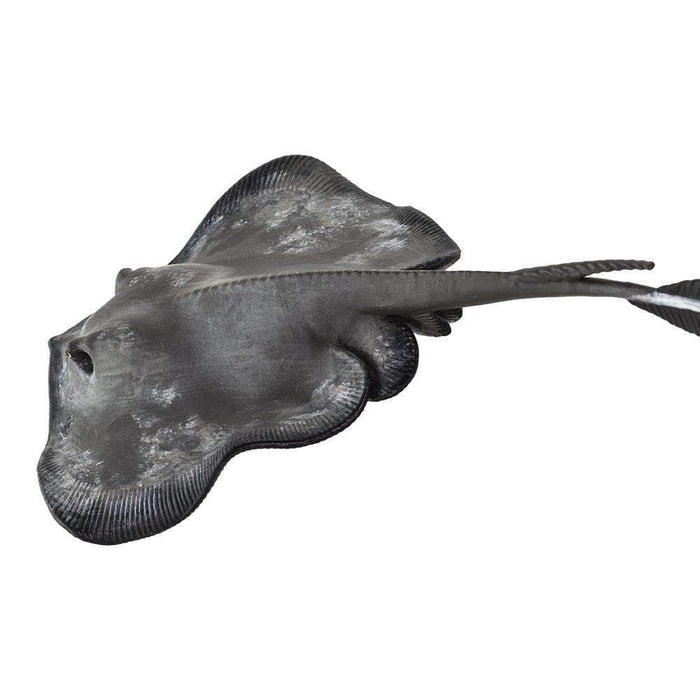 Stingray Toy Animal Figure | Safari Ltd® | Safari Ltd®
