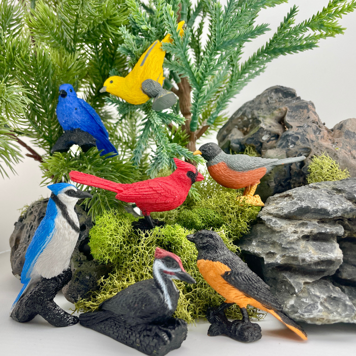 Backyard Birds TOOB – Mini Bird Figurines for Kids, Boys and Girls ...