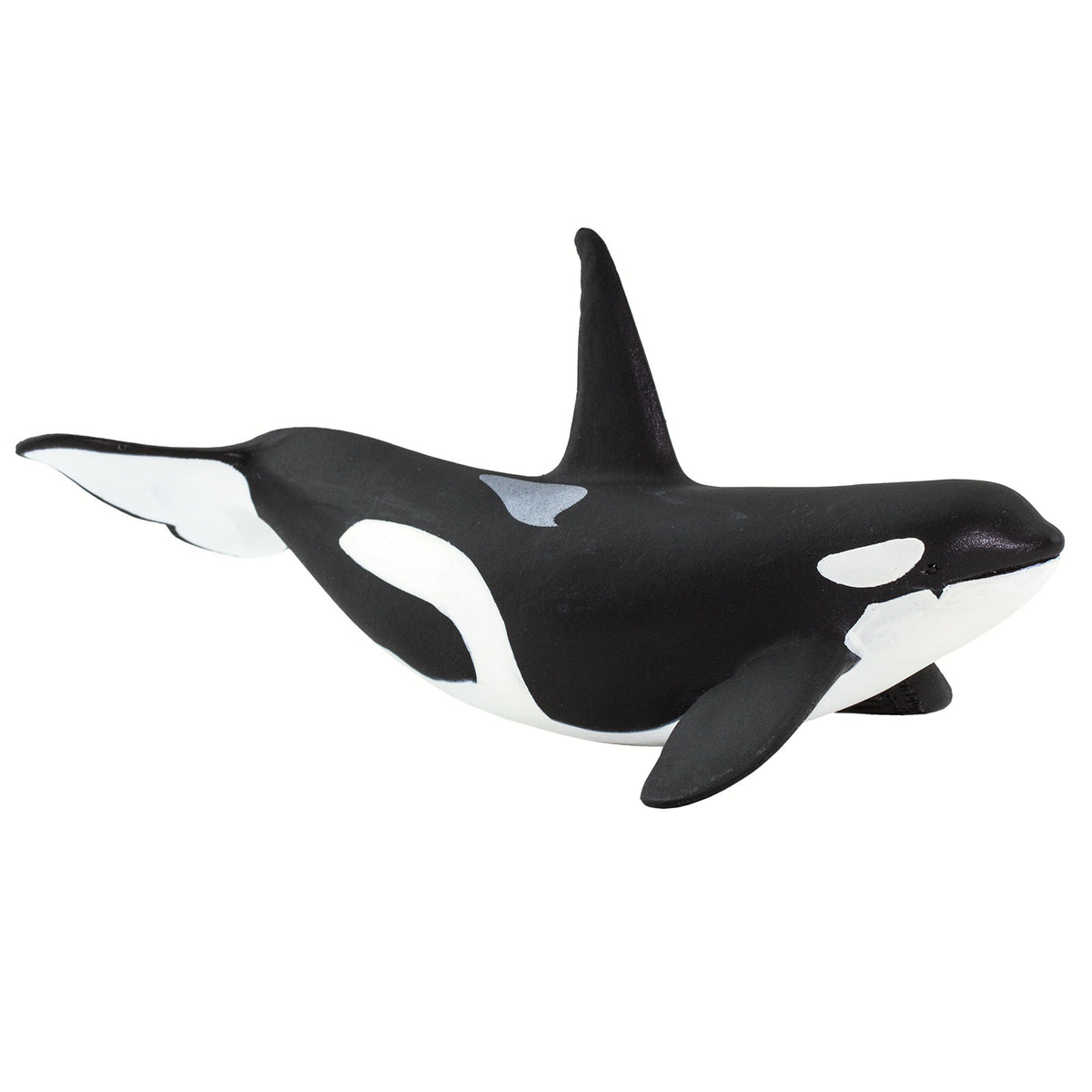 Orca Figure – Realistic Killer Whale Toy for Kids, Boys and Girls ...
