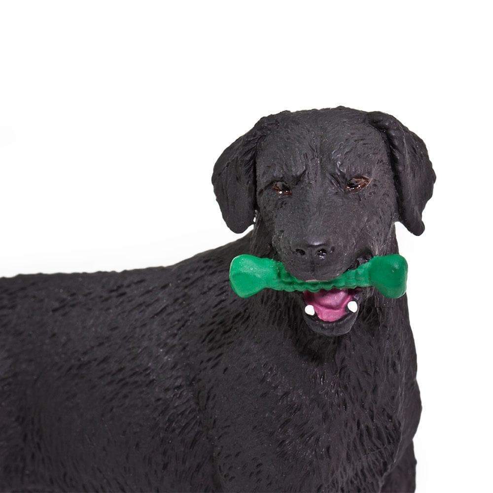 Black Labrador | Dog Toy | Safari Ltd®