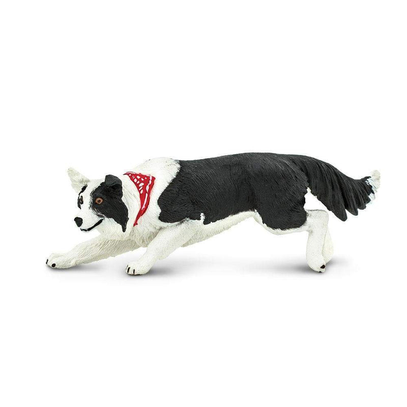 Border Collie | Dog Toy | Safari Ltd® | Safari Ltd®