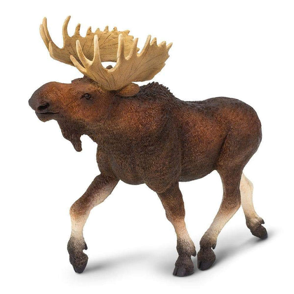 Moose Figurine Toy – Realistic Wildlife Model | Safari Ltd® | Safari Ltd®