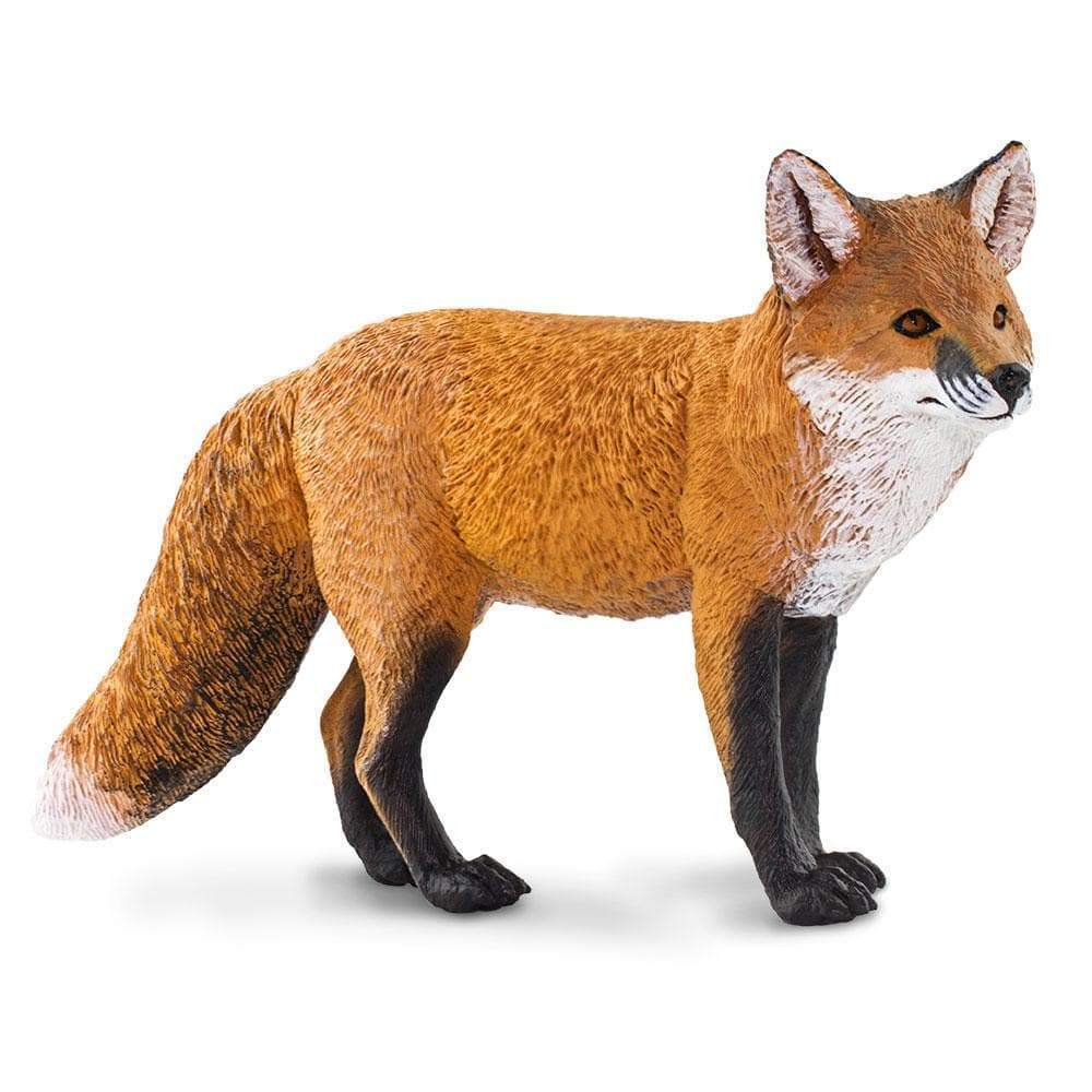 Red Fox Figure – Realistic Animal Toy for Kids, Boys and Girls | Safari ...