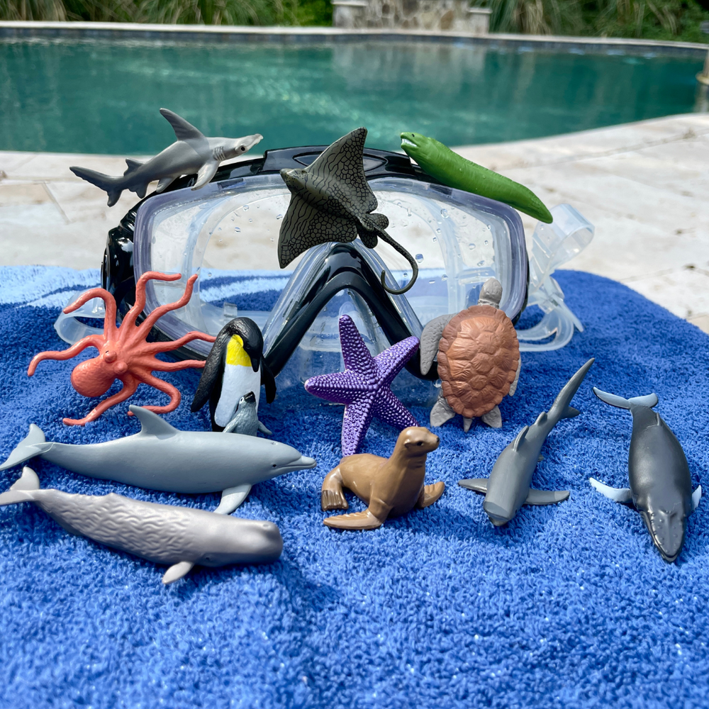 Ocean TOOB® | Safari Ltd®