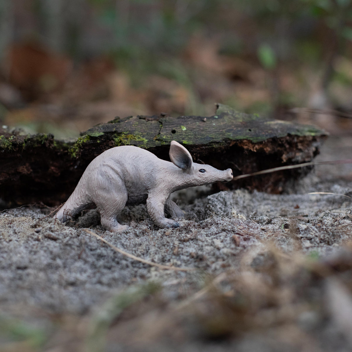Aardvark Toy | Safari Ltd®