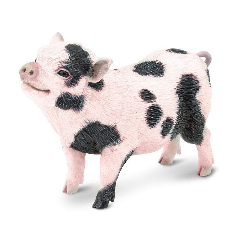 Pot-Bellied Pig Toy | Safari Ltd® | Safari Ltd®