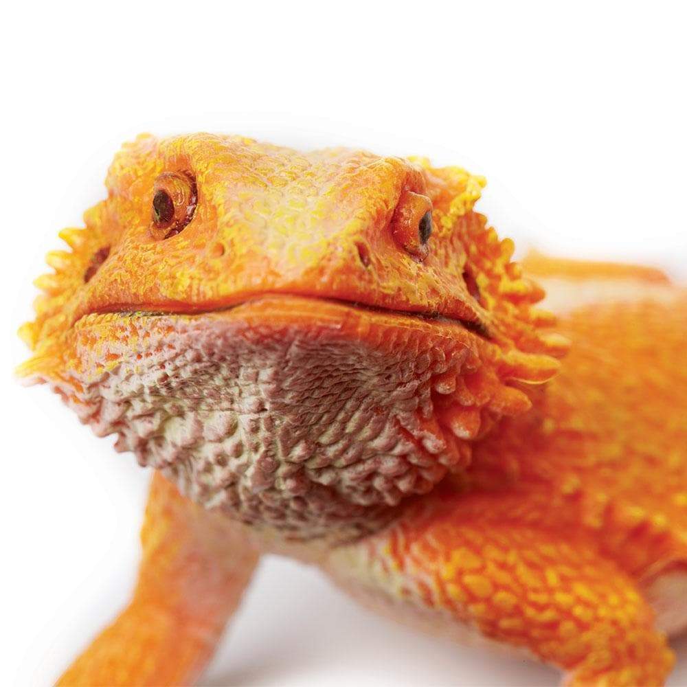 Bearded Dragon Toy Figurine – Realistic Reptile Model | Incredible ...