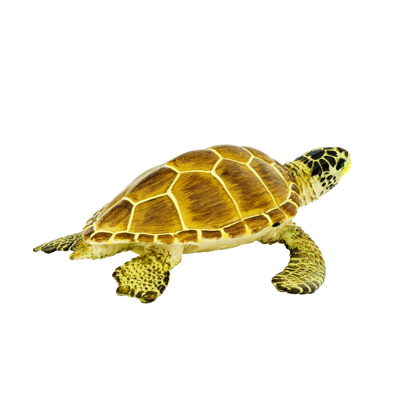 Loggerhead Turtle Toy | Safari Ltd®