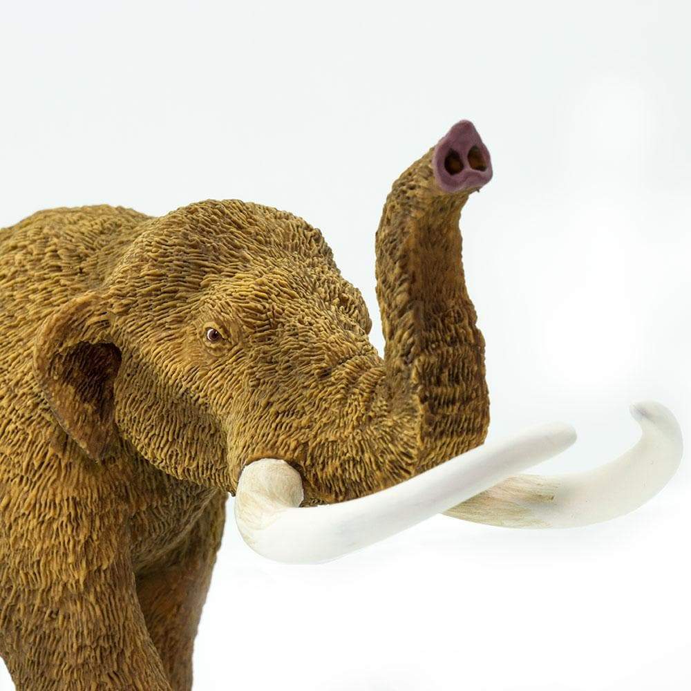 American Mastodon Toy | Prehistoric Figure by Safari Ltd | Safari Ltd®