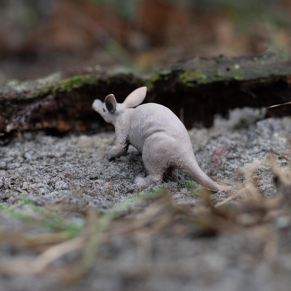 Aardvark Toy | Wildlife Animal Toys | Safari Ltd. | Safari Ltd®