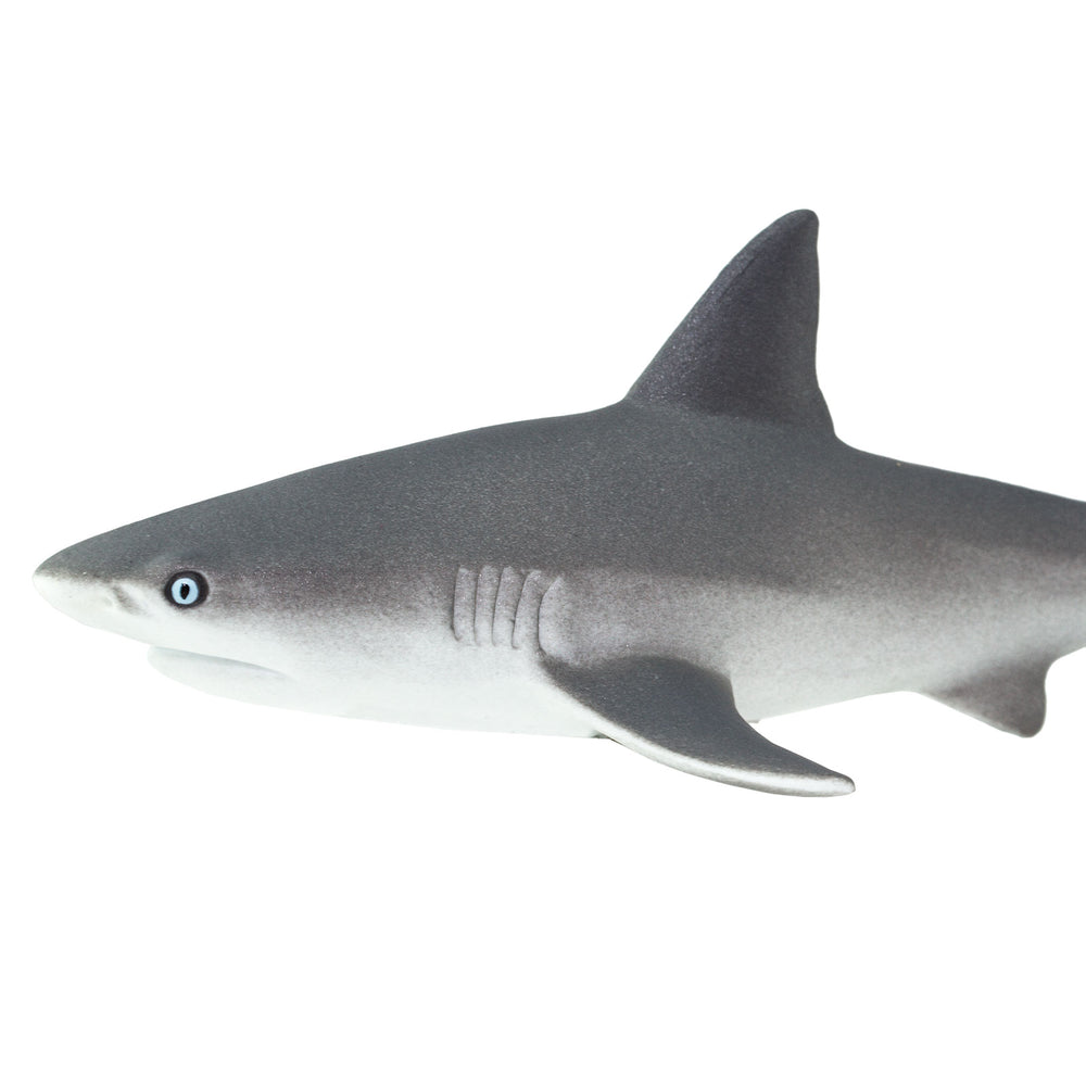 Gray Reef Shark Toy | Safari Ltd®