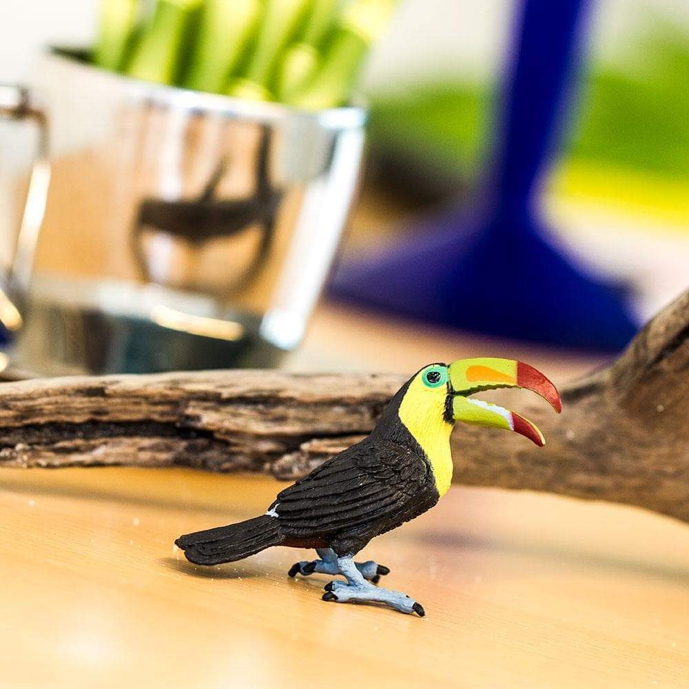 Toucan Toy | Wildlife Animal Toys | Safari Ltd®
