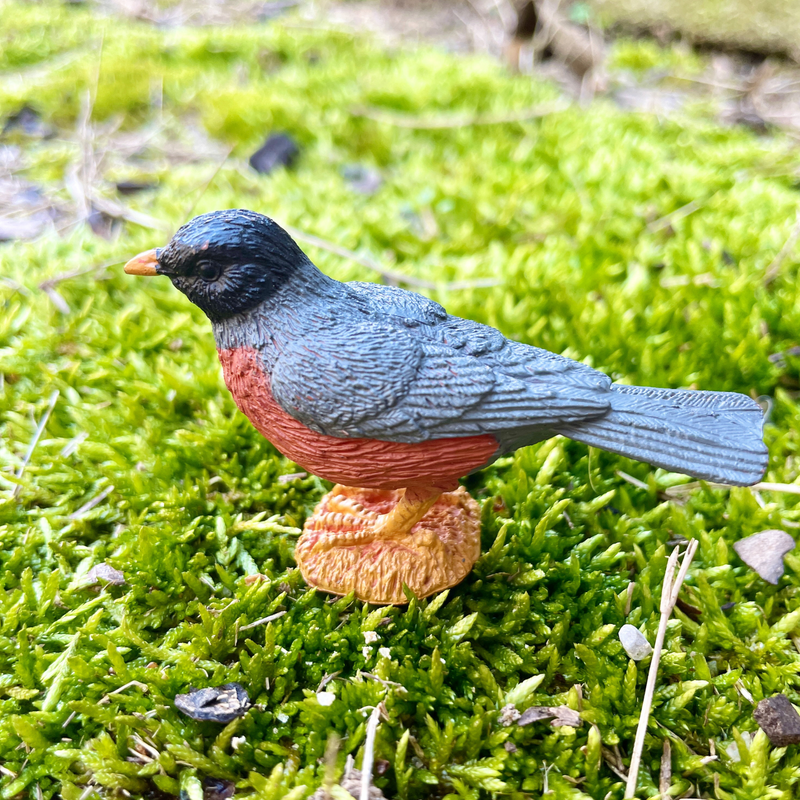 Backyard Birds TOOB – Mini Bird Figurines for Kids, Boys and Girls ...