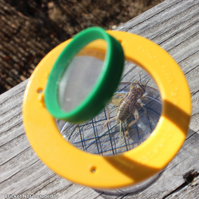 World's Best Bug Jar | Educational Science Toy | Safari Ltd®