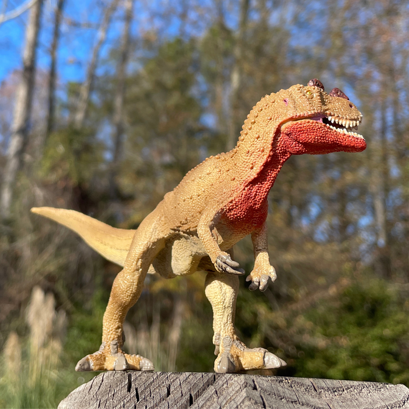 Ceratosaurus Toy | Safari Ltd®