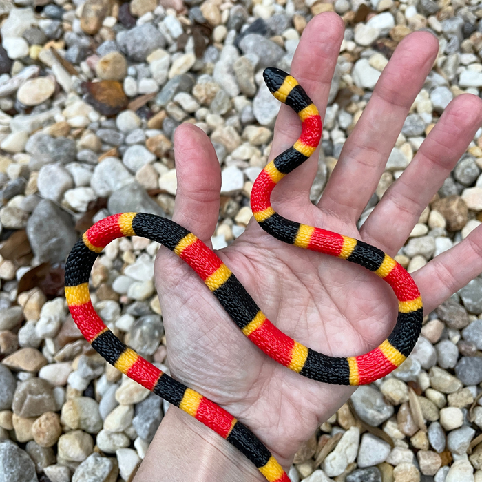 Coral Snake Baby Reptile Toy | Safari Ltd® | Safari Ltd®