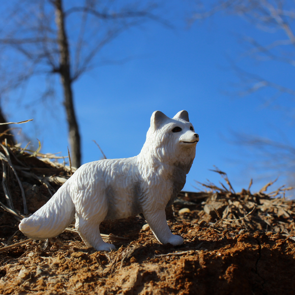 Arctic Fox Figurine | Safari Ltd®