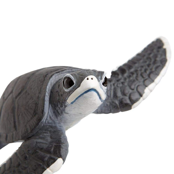 Sea Turtle Baby Reptile Toy | Safari Ltd®