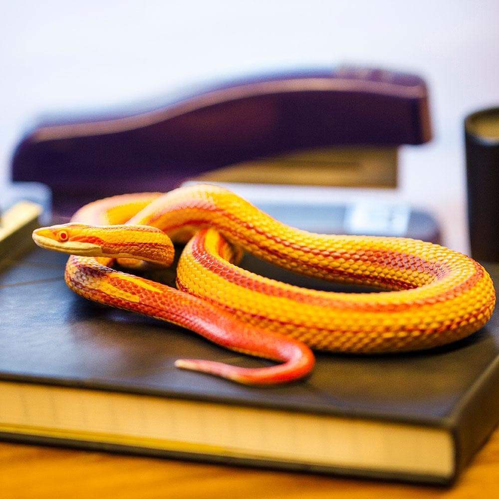 Corn Snake Toy | Safari Ltd®