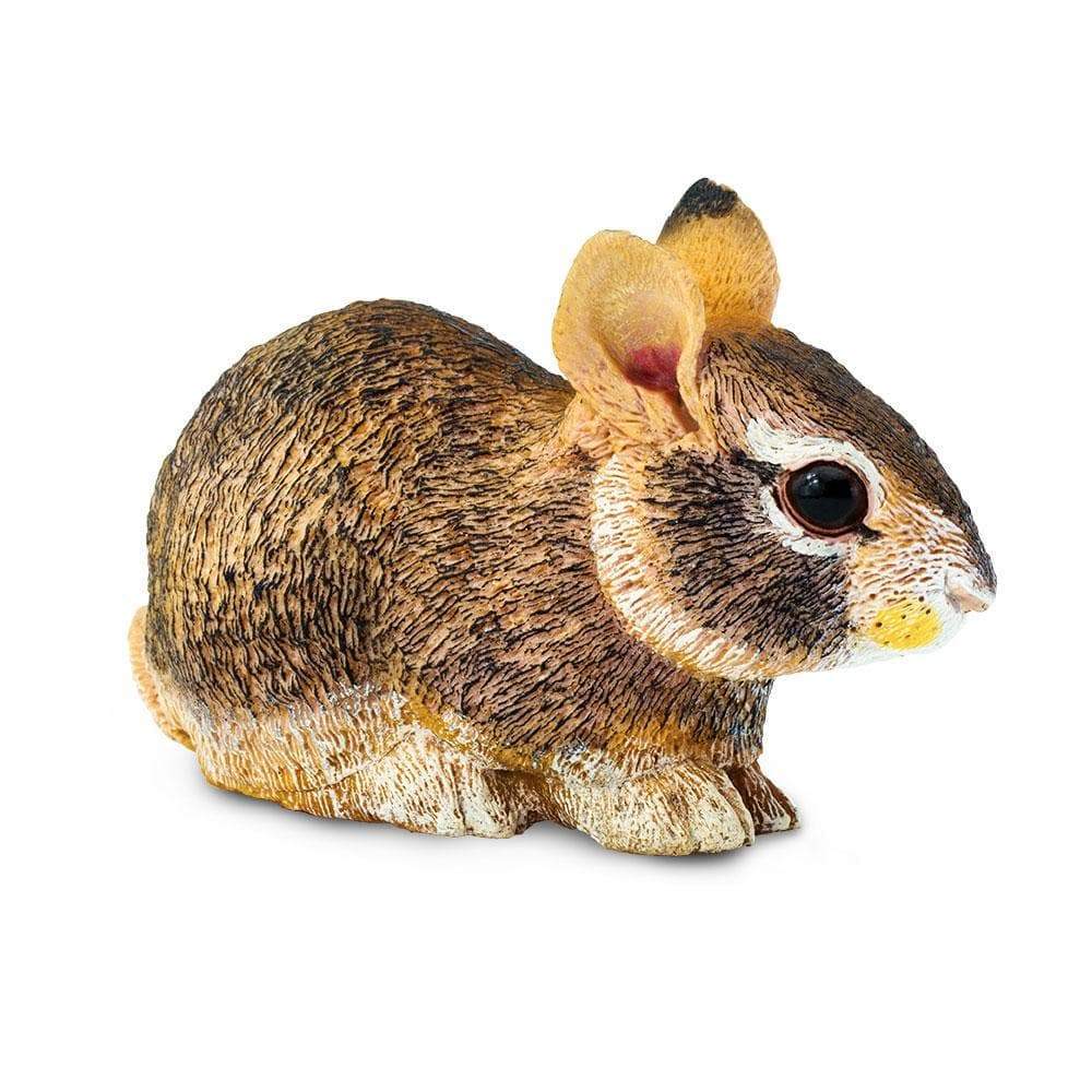 Eastern Cottontail Rabbit Baby Toy | Safari Ltd®