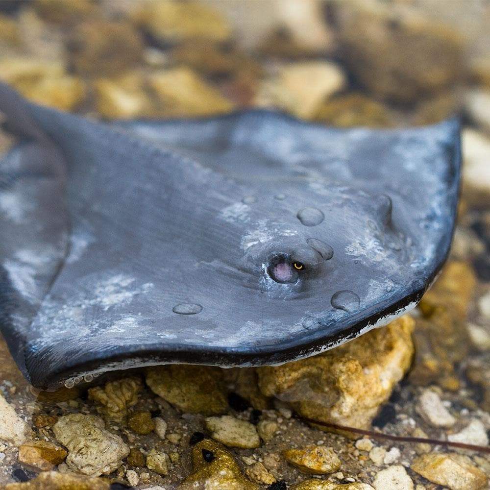 Stingray Toy Animal Figure | Safari Ltd® | Safari Ltd®