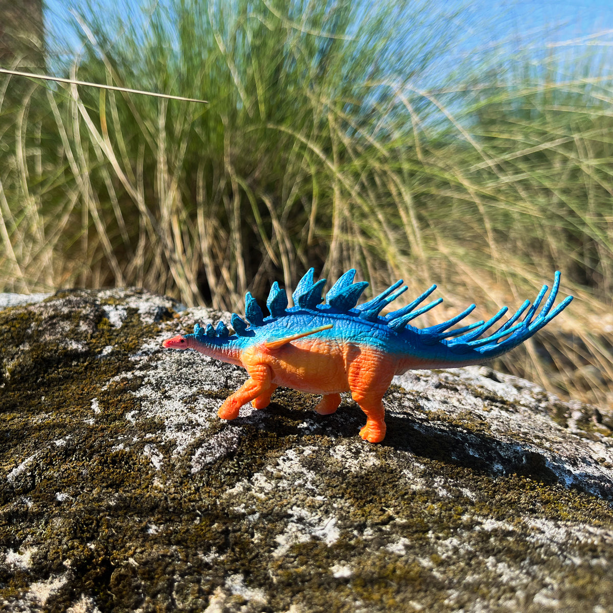 Kentrosaurus Toy | Safari Ltd®