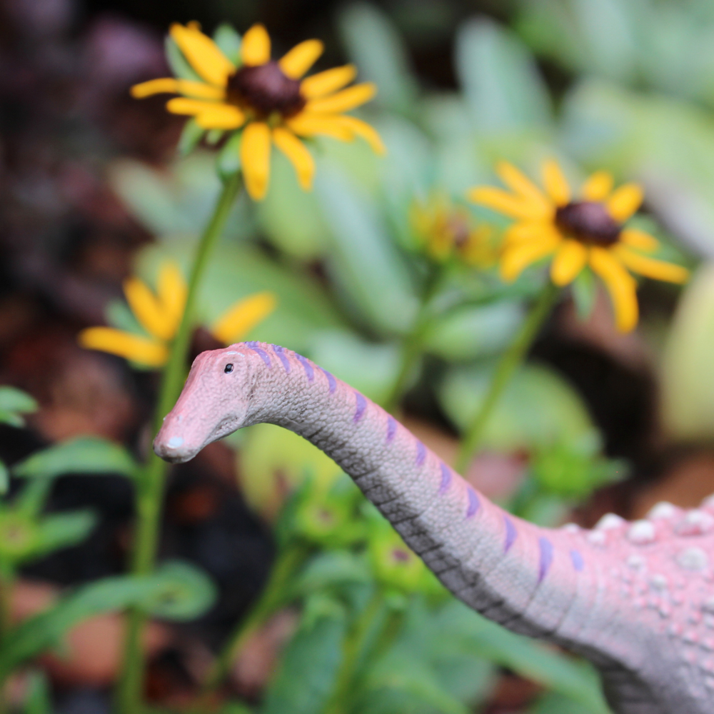 Saltasaurus Dinosaur Toy Figure | Safari Ltd®