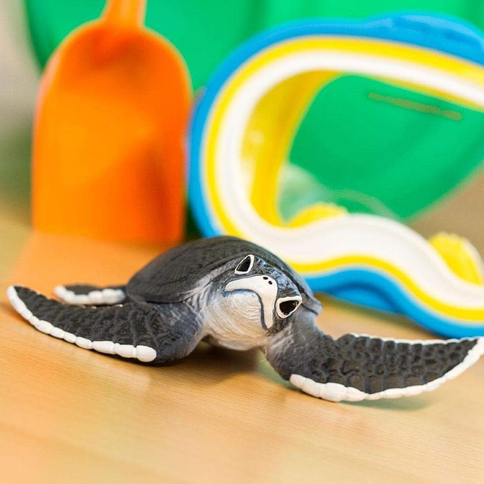Baby Sea Turtle Figurine – Realistic & Educational | Safari Ltd ...