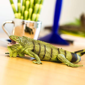 Iguana Toy | Incredible Creatures | Safari Ltd®