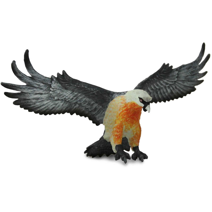 Bearded Vulture Toy Figure | Safari Ltd®