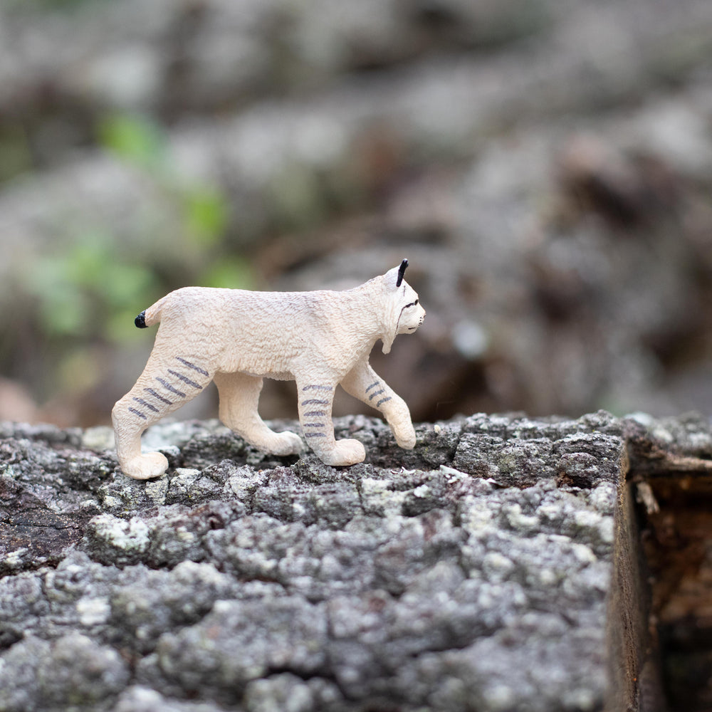 Lynx Toy | Wildlife Animal Toys | Safari Ltd. | Safari Ltd®