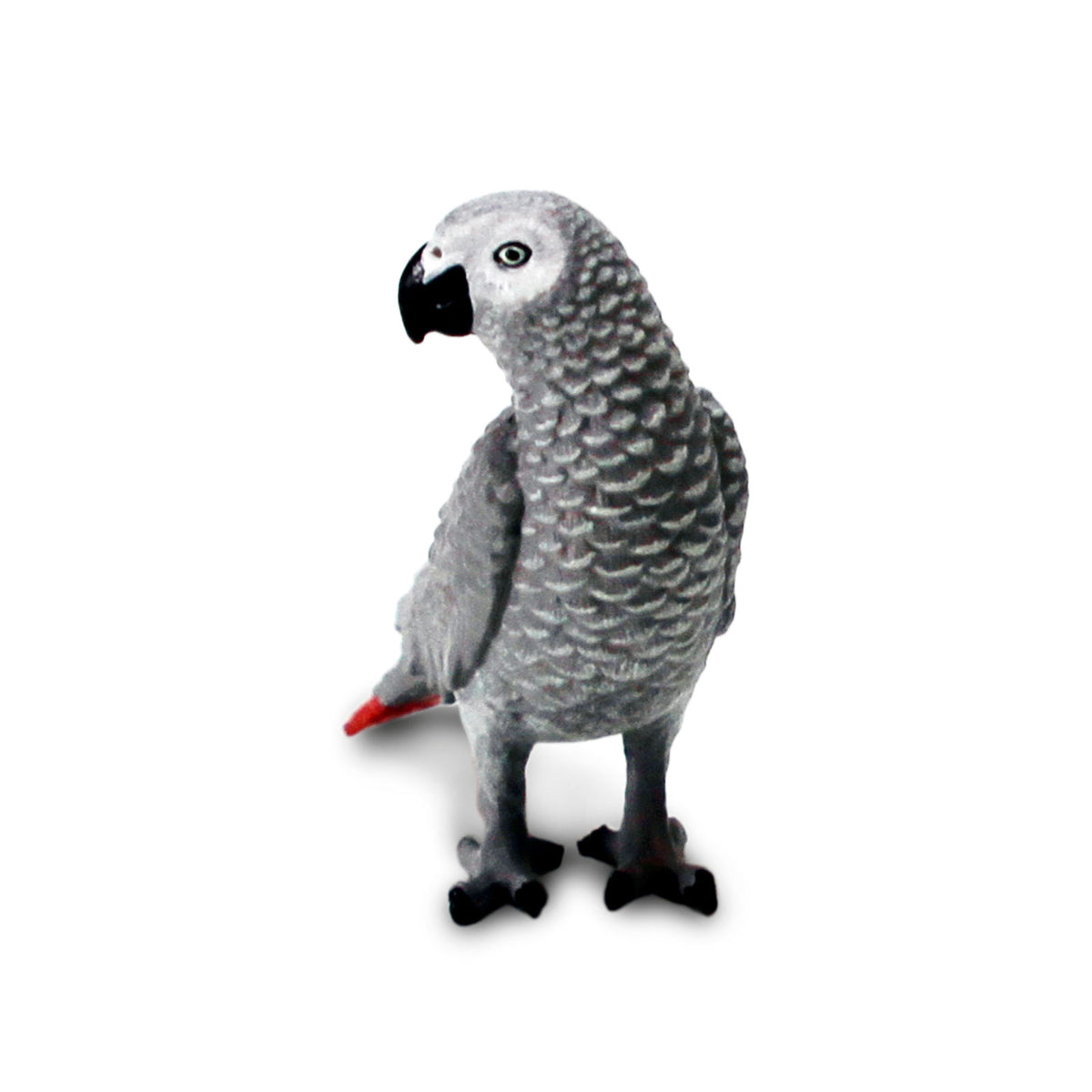 African Gray Parrot Figurine | Safari Ltd® Bird Toy Model | Safari Ltd®