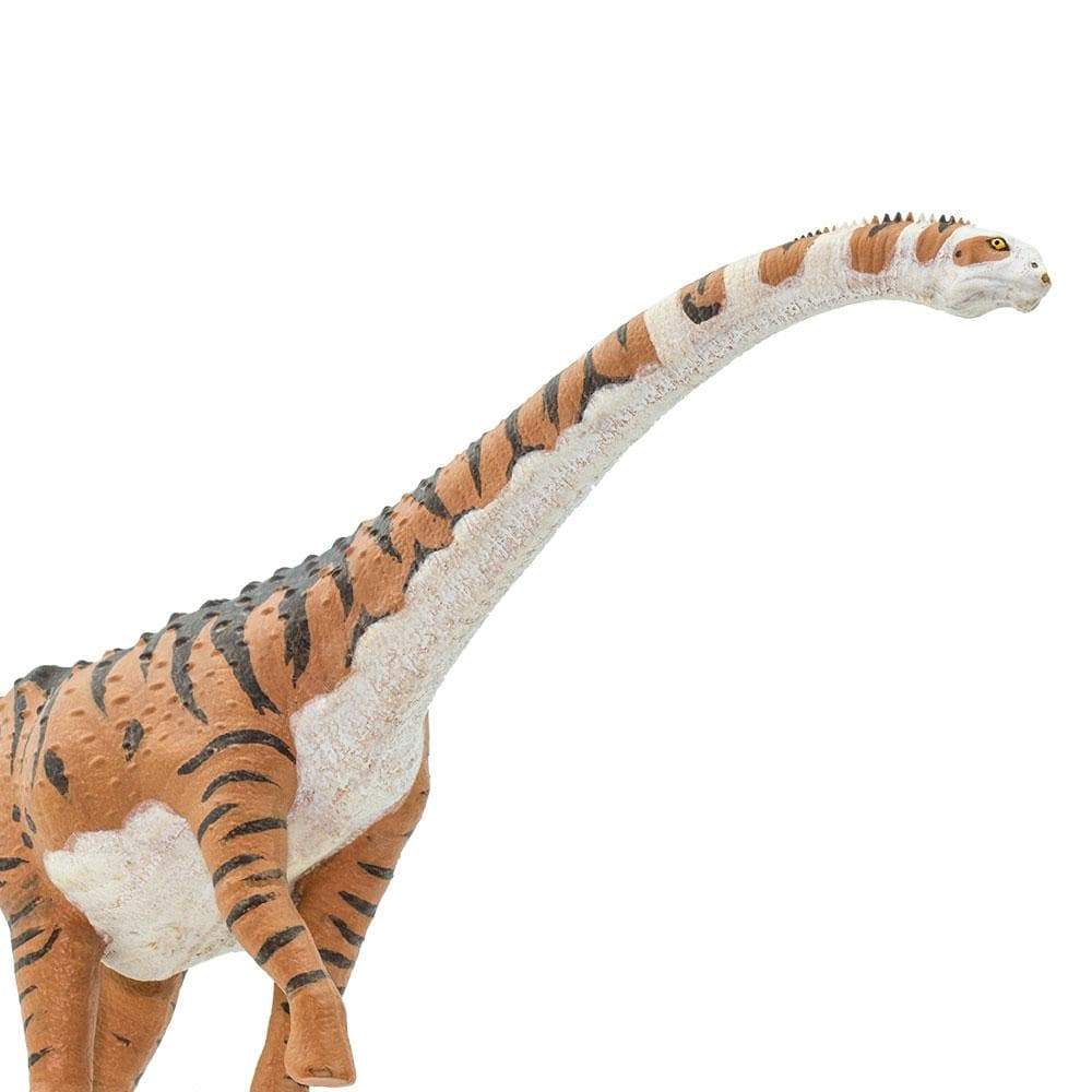 Malawisaurus Toy | Safari Ltd®