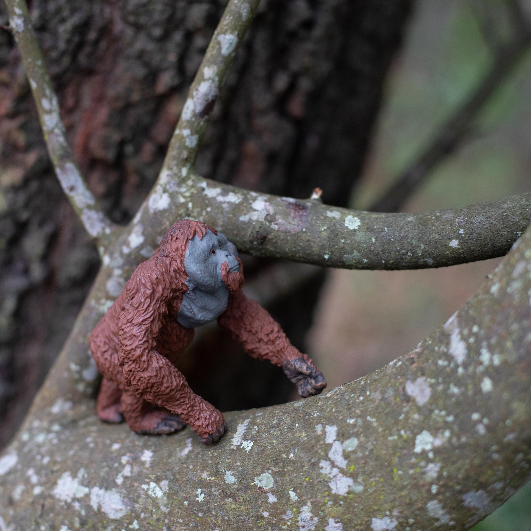 Male Orangutan Toy | Wildlife Animal Toys | Safari Ltd. | Safari Ltd®