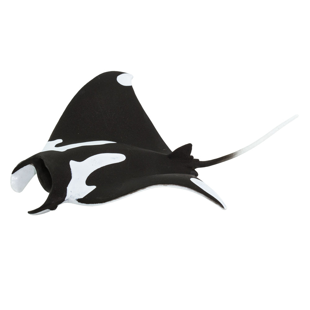 Manta Ray Toy | Safari Ltd®
