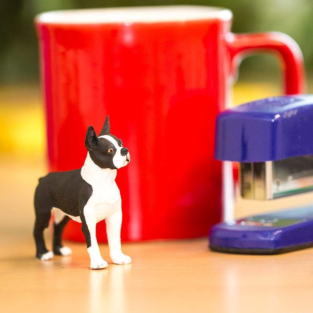 Boston Terrier Figurine | Safari Ltd®