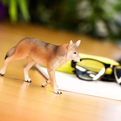 Coyote Toy | Wildlife Animal Toys | Safari Ltd. | Safari Ltd®