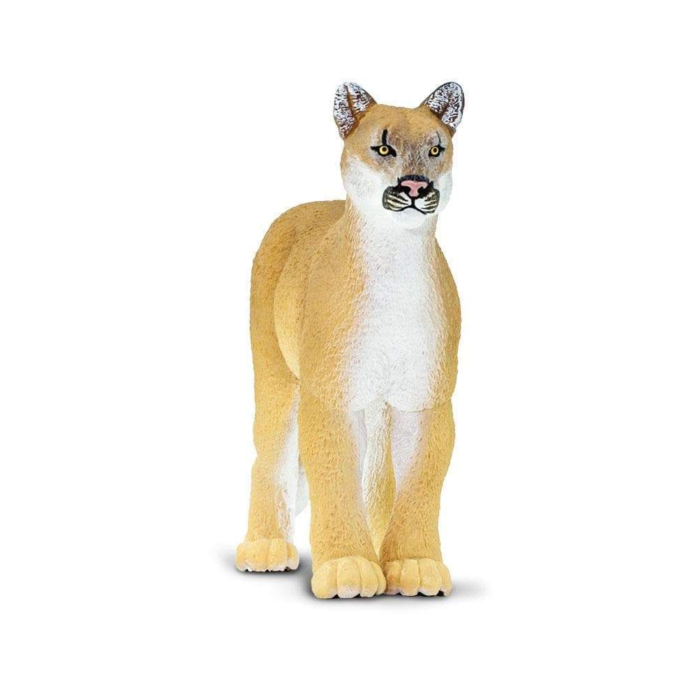 Florida Panther Toy | Wildlife Animal Toys | Safari Ltd. | Safari Ltd®