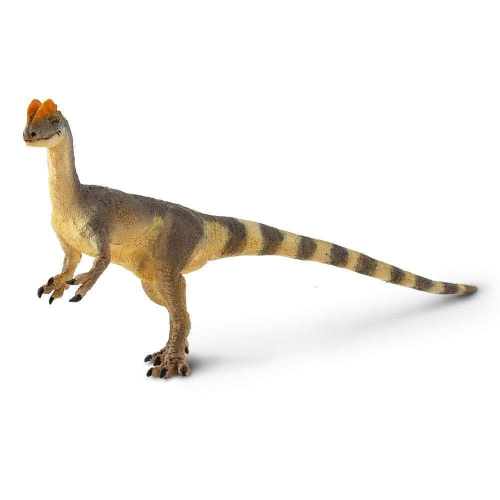 Dilophosaurus Toy | Dinosaur Toys | Safari Ltd. | Safari Ltd®
