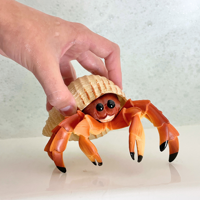 Realistic Hermit Crab Figurine | Safari Ltd® Toy Animal | Safari Ltd®