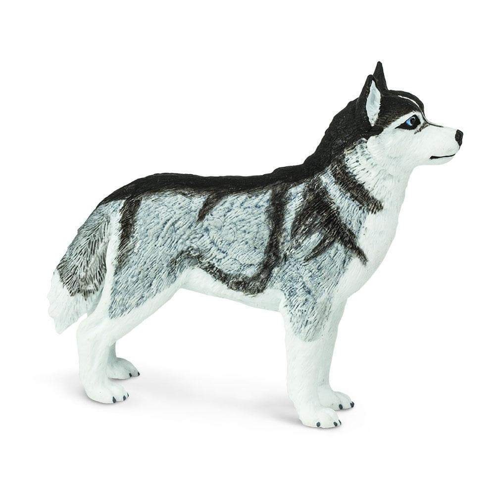 Siberian Husky Figurine | Safari Ltd® Dog Toy Model | Safari Ltd®
