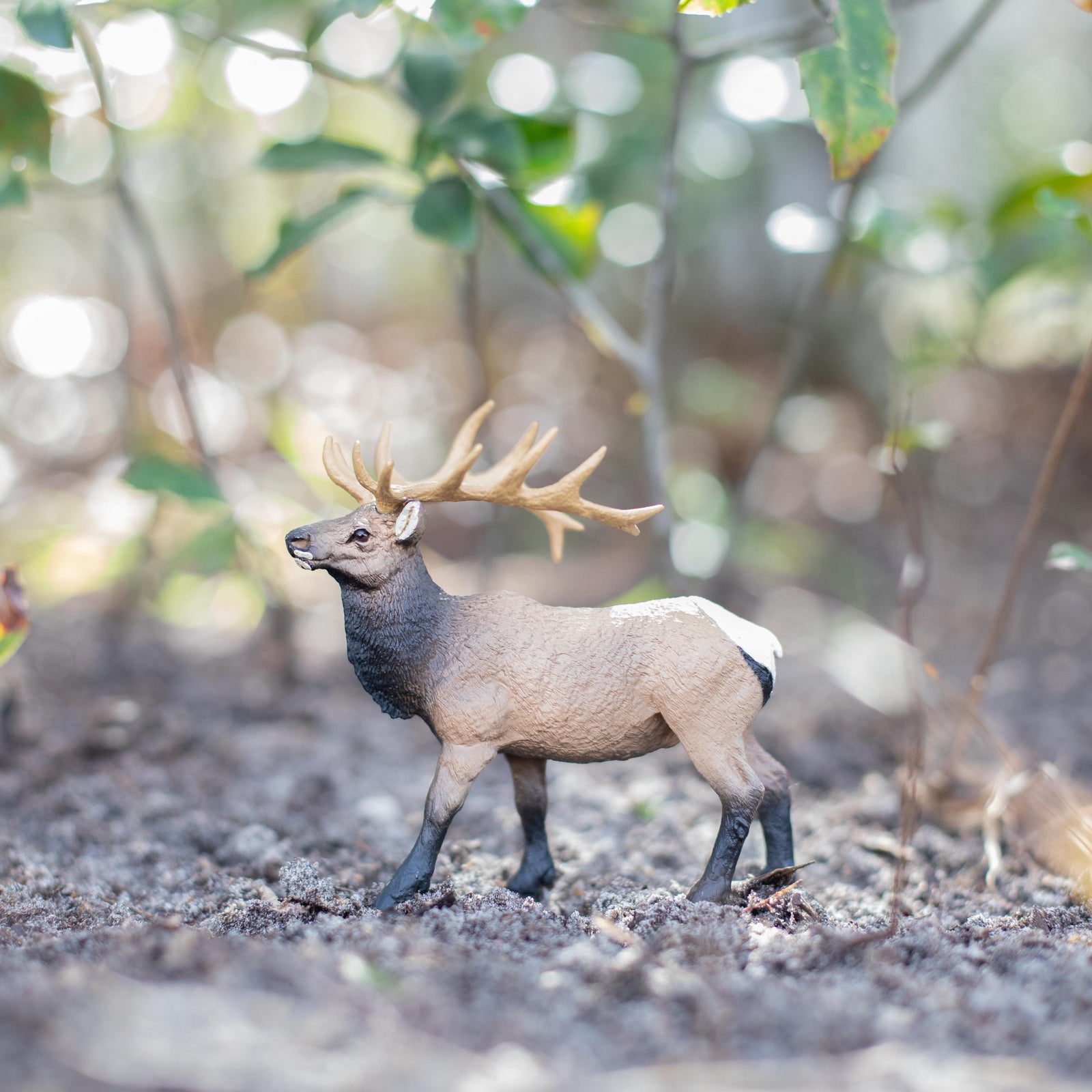 Elk Bull Toy | Safari Ltd®