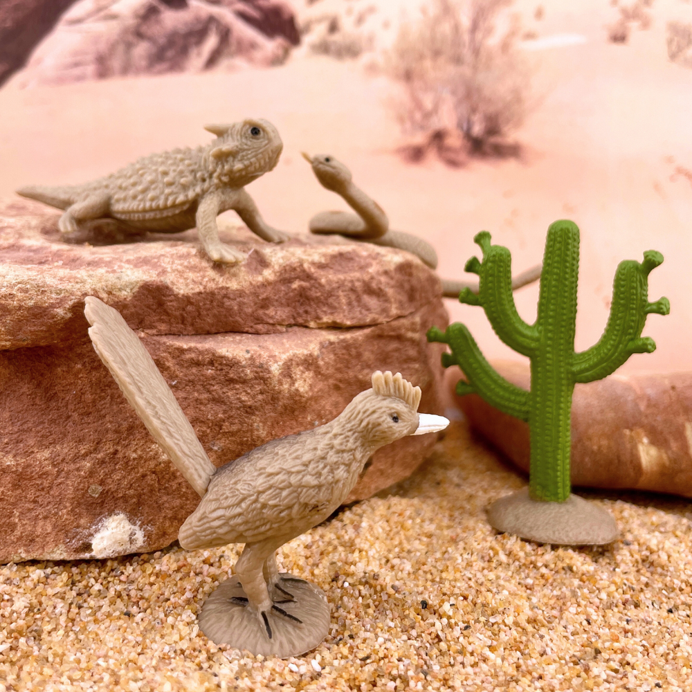 Desert TOOB® – 11 Desert Animal Figurines by Safari Ltd® | Safari Ltd®