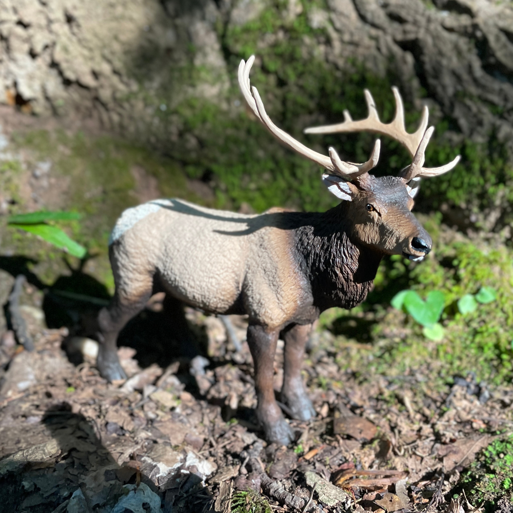 Elk Figure – Realistic Animal Toy for Kids, Boys and Girls | Safari Ltd®