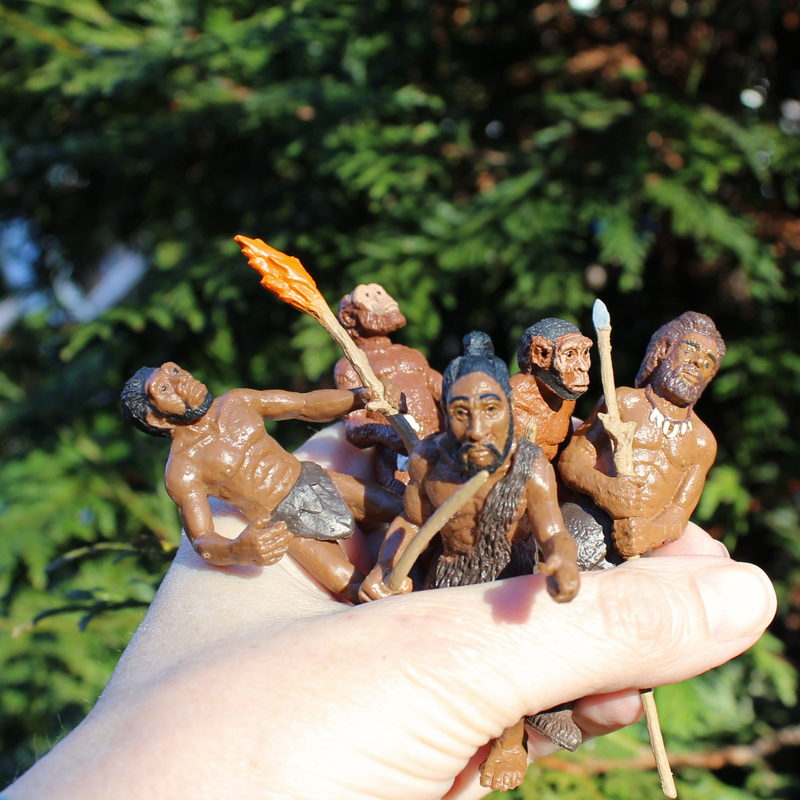 Evolution of Man | Montessori Toys | Safari Ltd. | Safari Ltd®